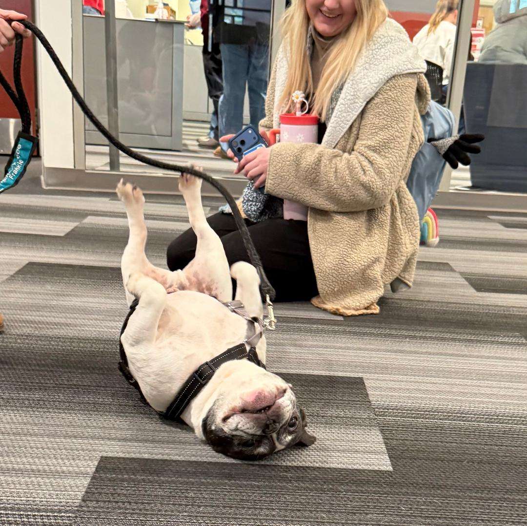 University of Cincinnati - Blue Ash - Pet Partners of Greater Cincinnati