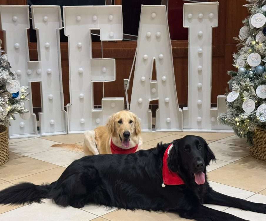 Atrium Medical Center - Pet Partners of Greater Cincinnati