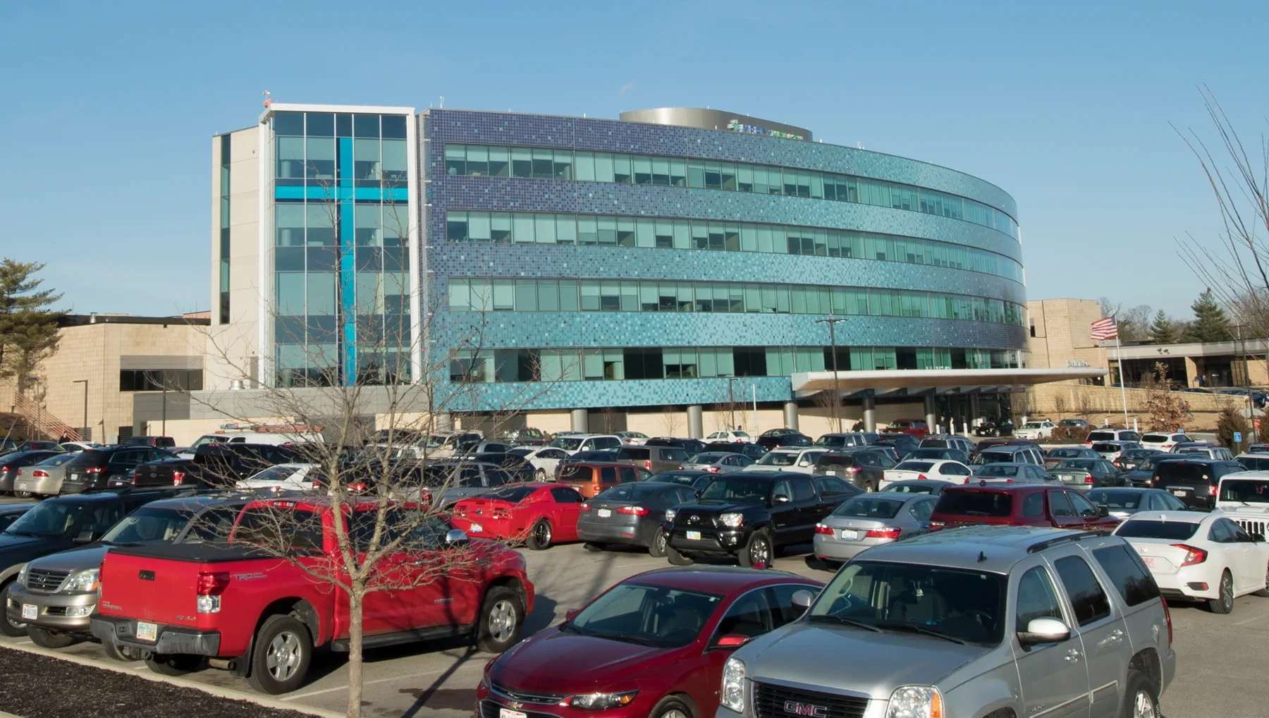 Pet Partners Therapy Animal Handler Workshop - Pet Partners of Greater ...